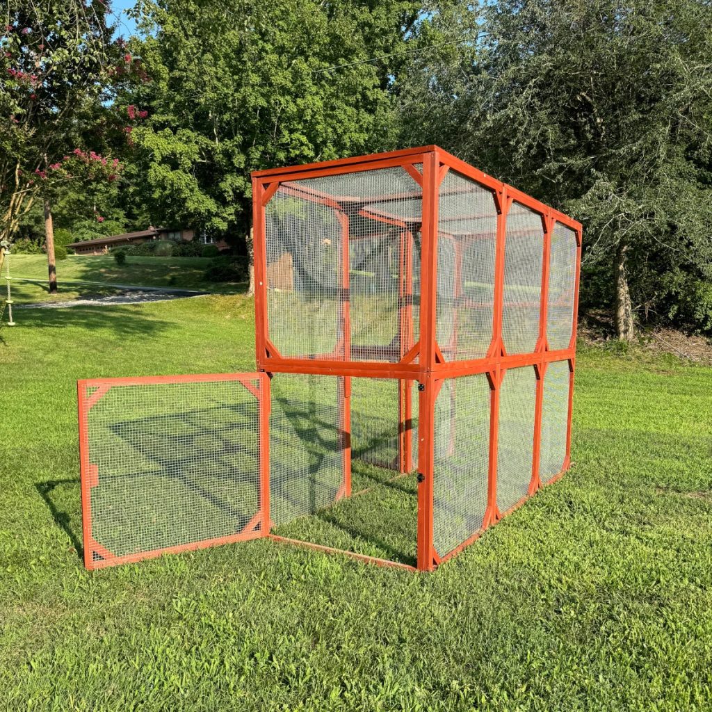 chicken breeds farm - Buy Healthy Chickens Online